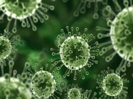Nipah Alert in Wayanad District - Kerala9.com